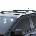 Ford Ranger Next Gen WildTrak Dual Cab With Rails Rhino Rack Black ...